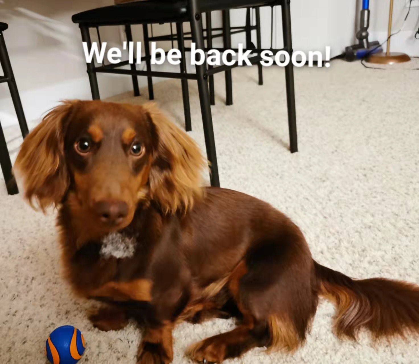 Leshan Zhao's Website